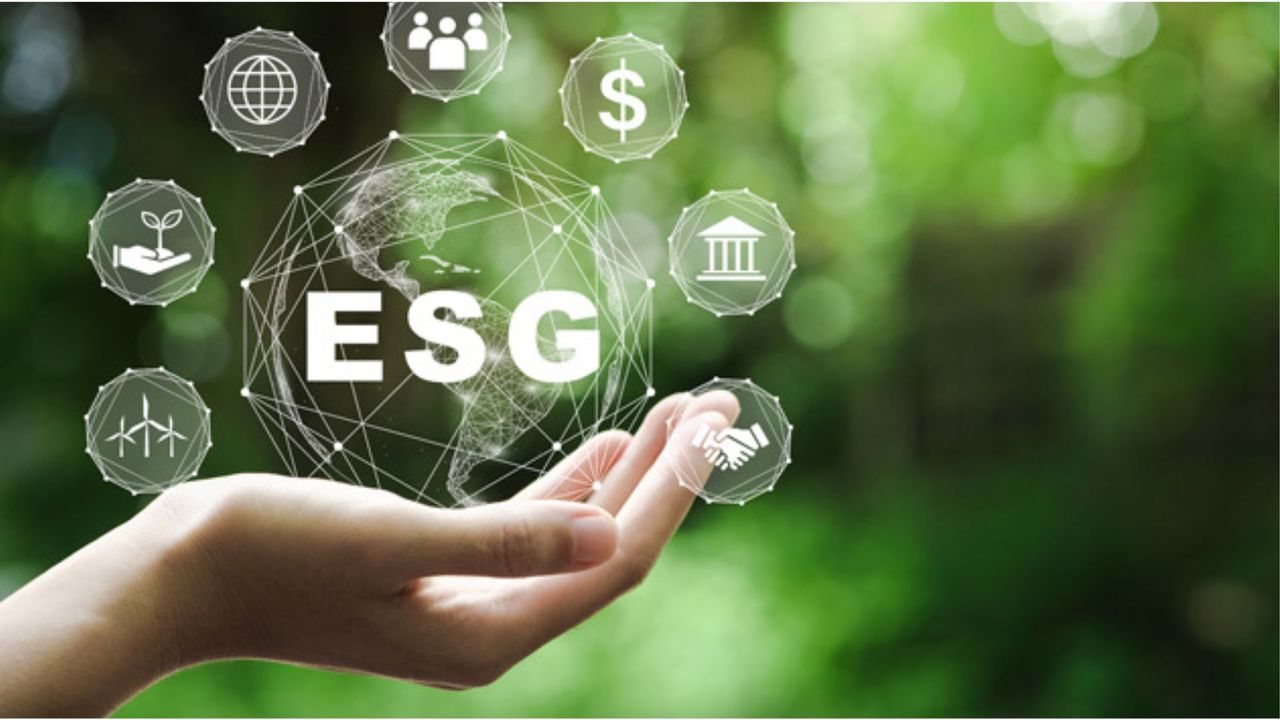 Second captive signs UN Principles for Sustainable Insurance | Captive ...